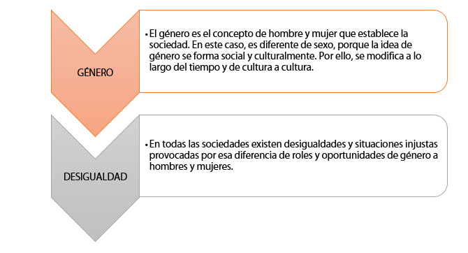 1.1. El concepto de género