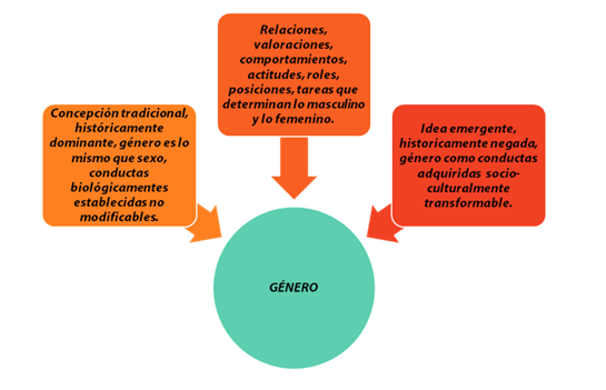 1.3. La categoría de género.